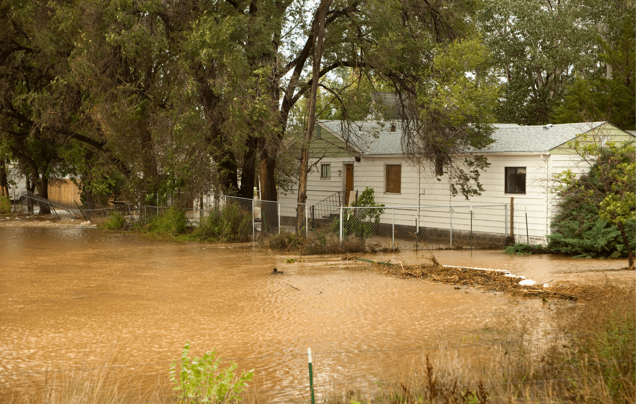 Taming Fires, Preventing Floods: Exploring the Benefits of Ecological ...